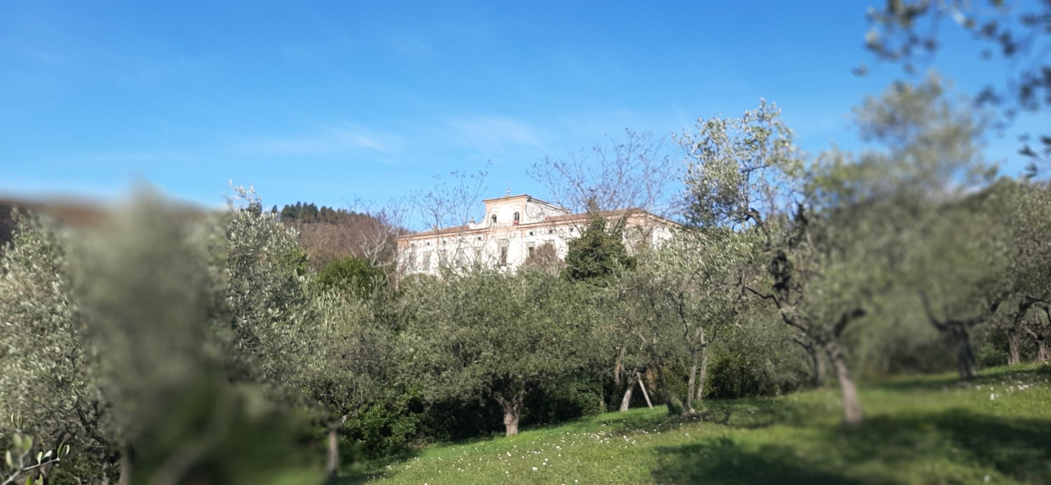 Trekking in Toscana: un cammino tra paesaggio e arte dei Macchiaioli a ...